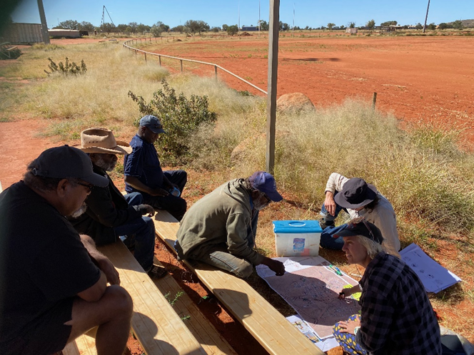 Community development matched funds trial in Papunya - Case study ...